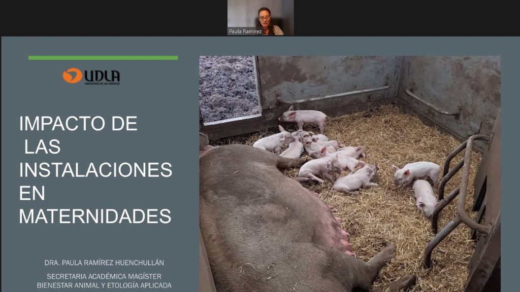 Facultad de Medicina Veterinaria y Agronomía comienza acciones del 2023 ...