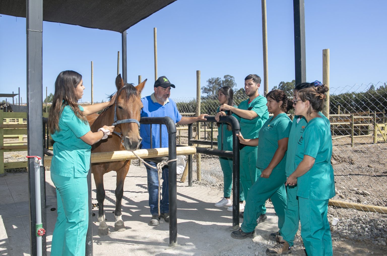 Con 194 estudiantes de primer año inicia oficialmente las clases el ...