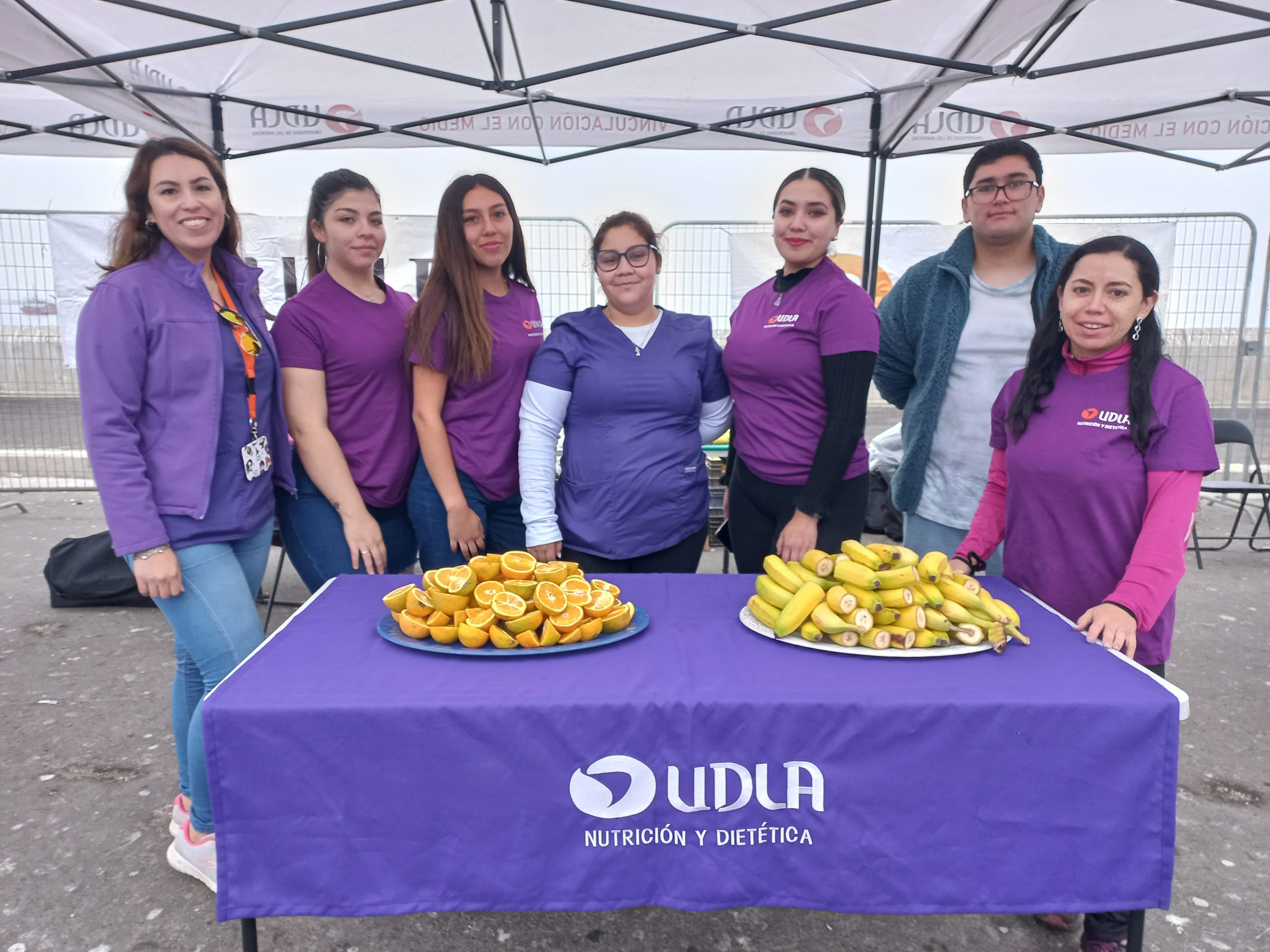 Estudiantes y académicos de Campus Los Castaños realizan intervenciones ...